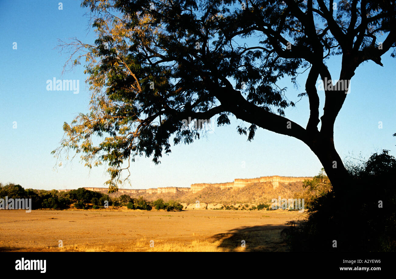Dry riverbed with sandstone cliffs in the distance Gonarezhou National ...
