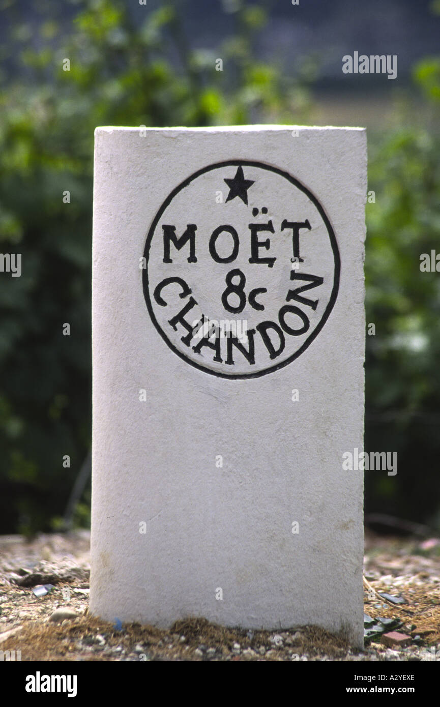 Moet chandon epernay vineyard hi-res stock photography and images - Alamy