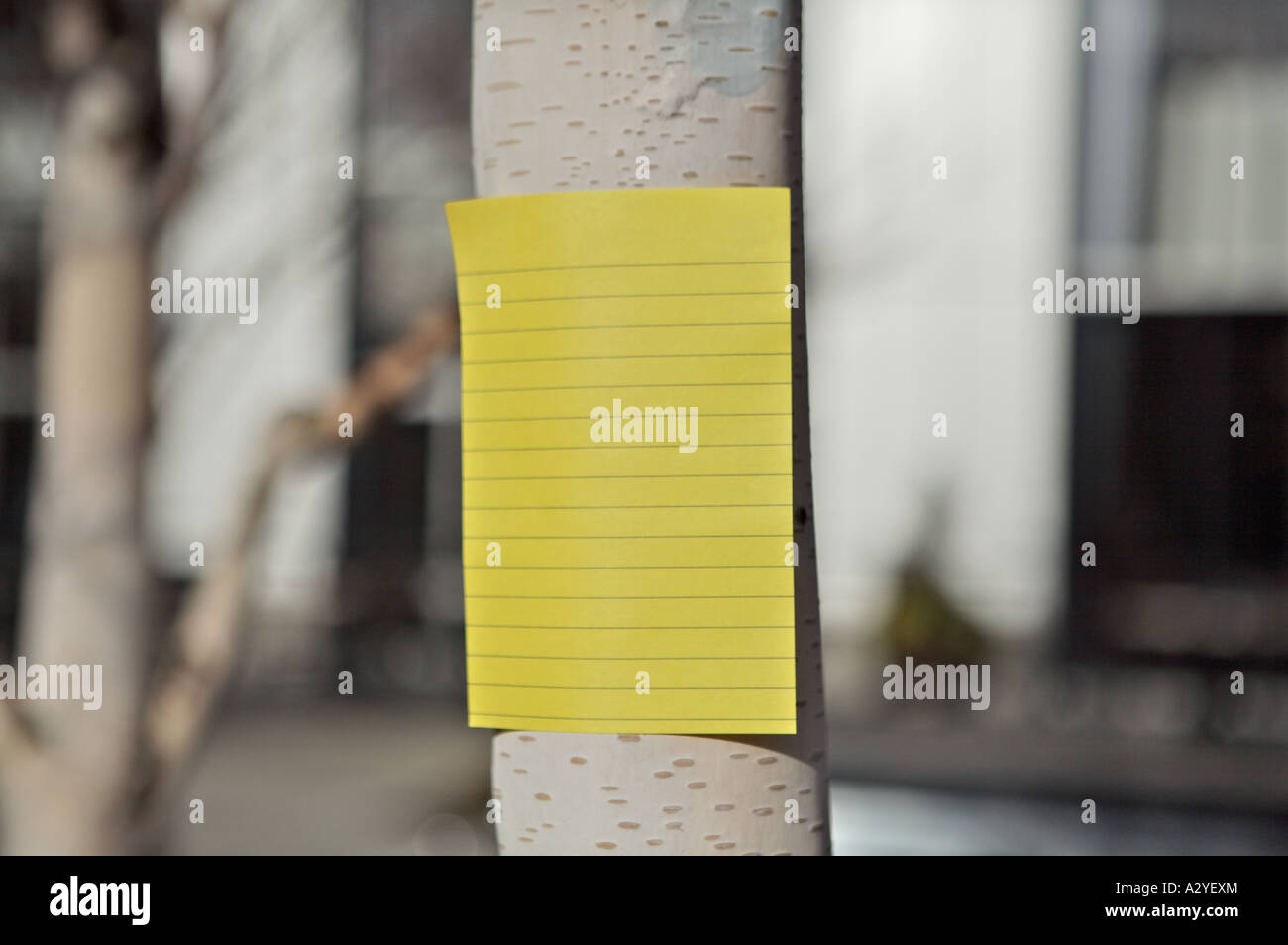 post it sign blank sign Stock Photo - Alamy