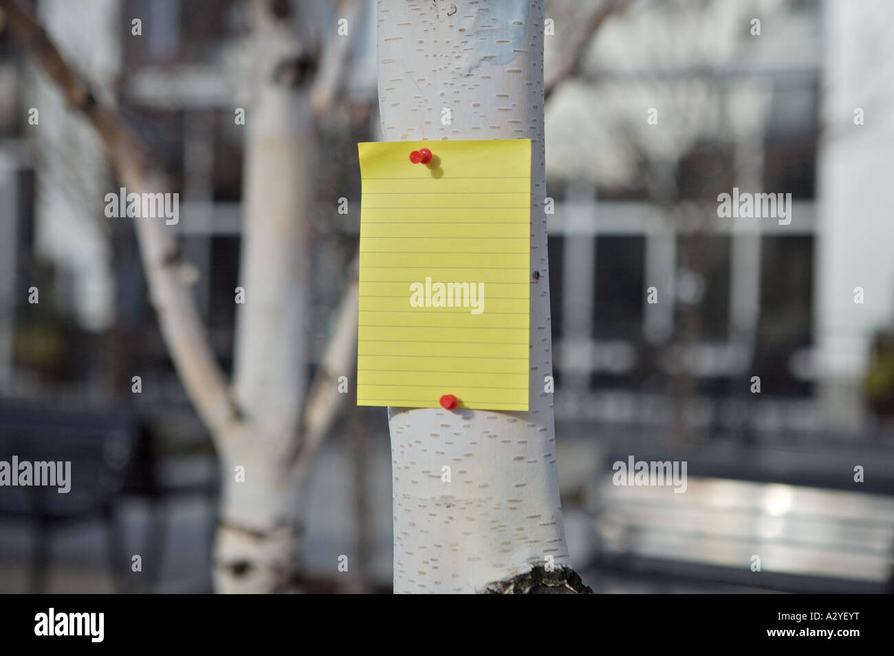 post it sign blank sign Stock Photo - Alamy