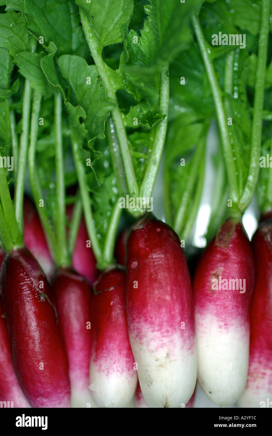 Maket garden hi-res stock photography and images - Alamy