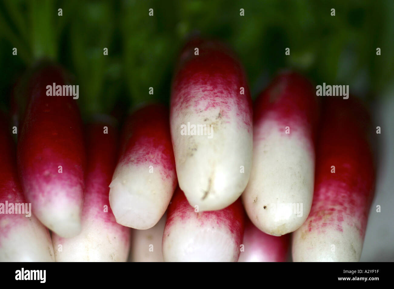 Maket garden hi-res stock photography and images - Alamy