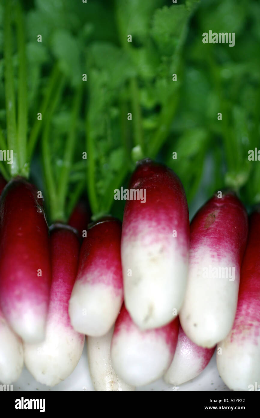 Maket garden hi-res stock photography and images - Alamy