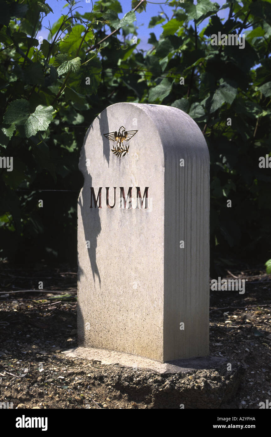 Mumm champagne france hi-res stock photography and images - Alamy