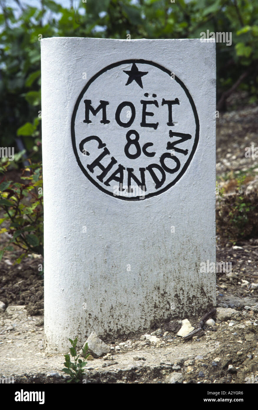 Moet et Chandon Vineyard Epernay Champagne France Stock Photo - Alamy