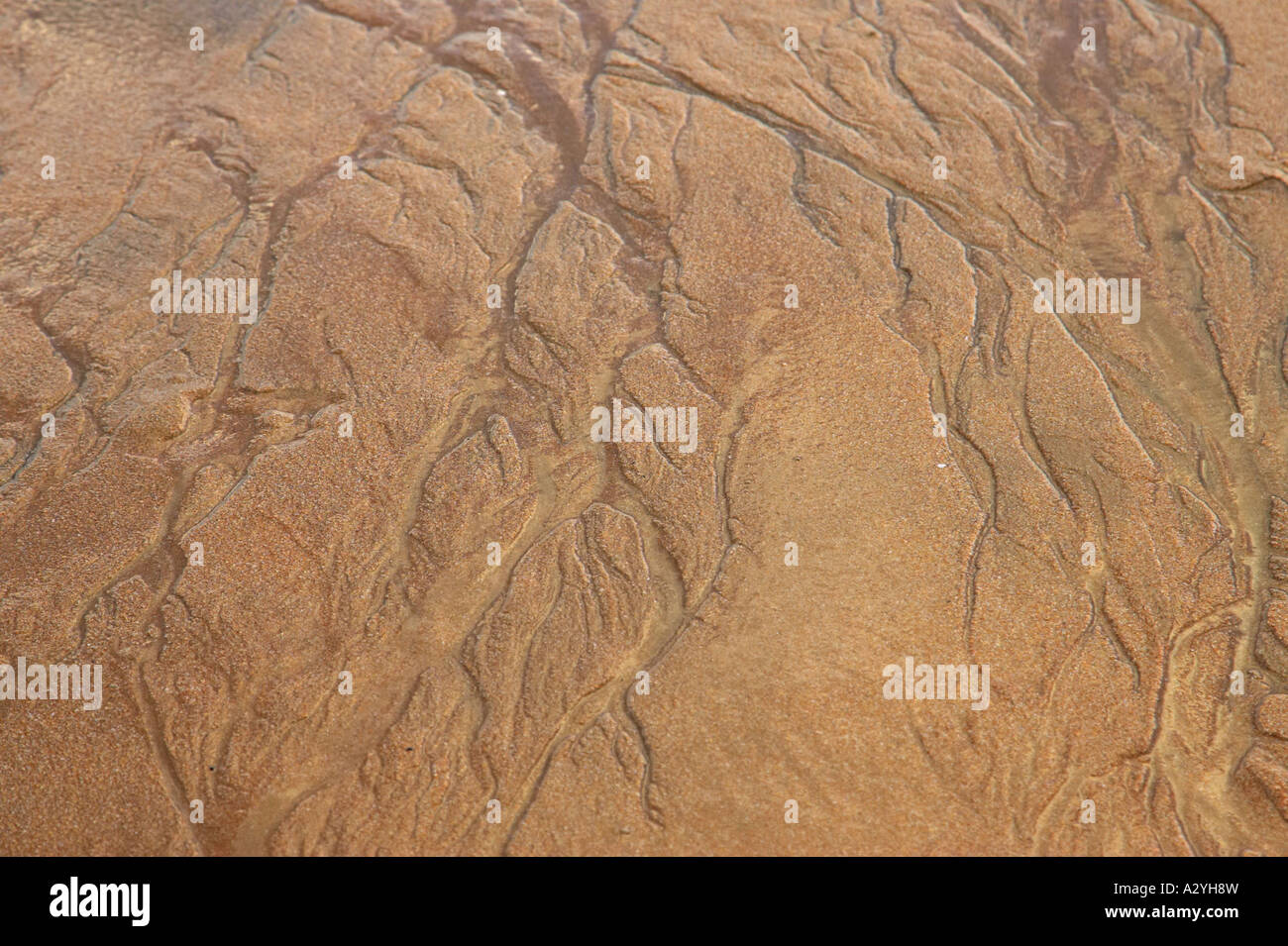 ripples and water flow patterns in wet sand Playa De Las Teresitas ...