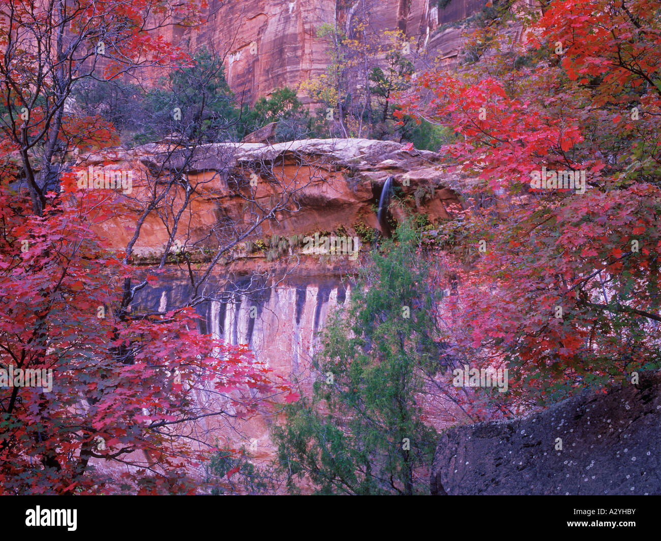 Emerald pools area hi-res stock photography and images - Alamy