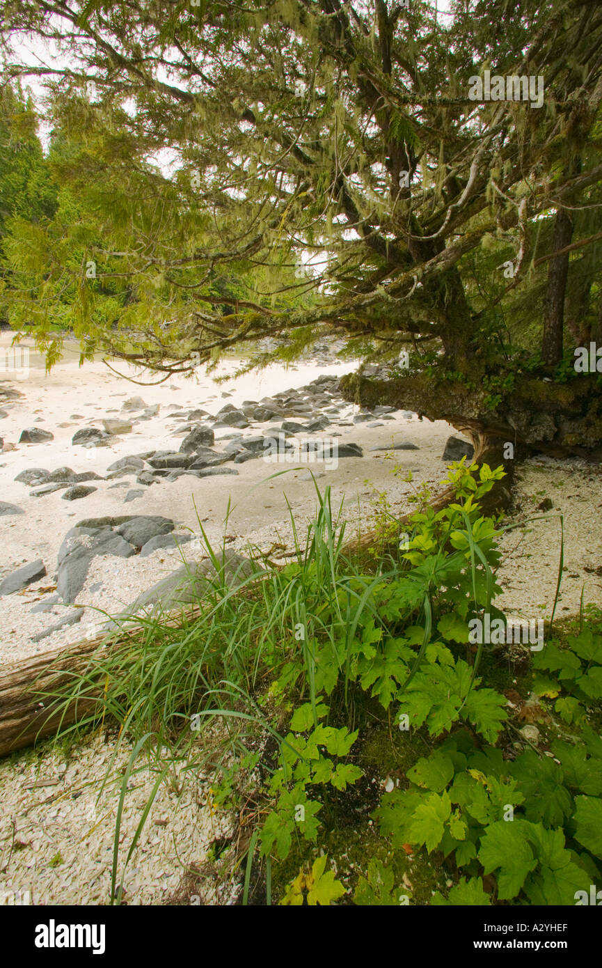 Fury Island Marine Park North Coast British Columbia Canada Stock Photo ...