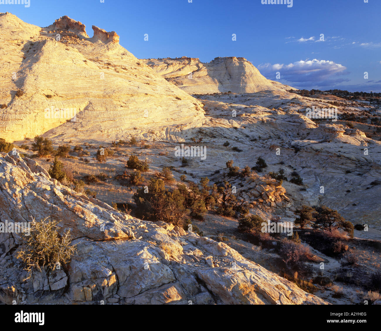Slickrock formations at sunrise Stock Photo - Alamy