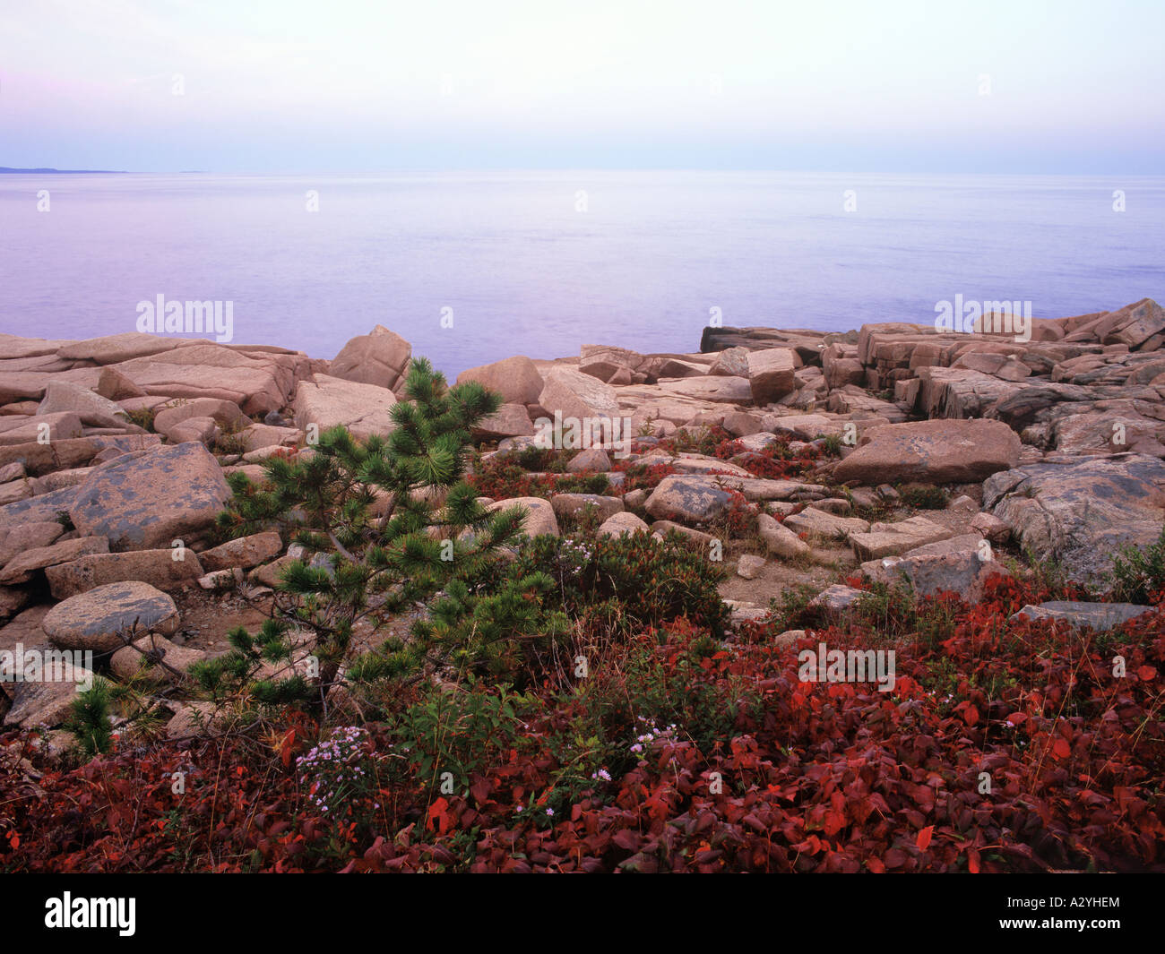 Beautiful rocky coastline vegetation hi-res stock photography and ...