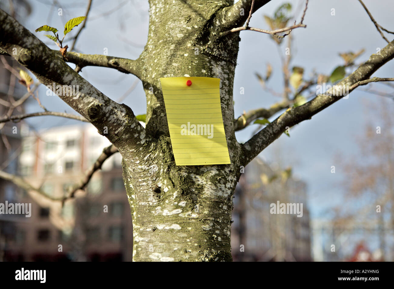 note blank sign post it Stock Photo - Alamy