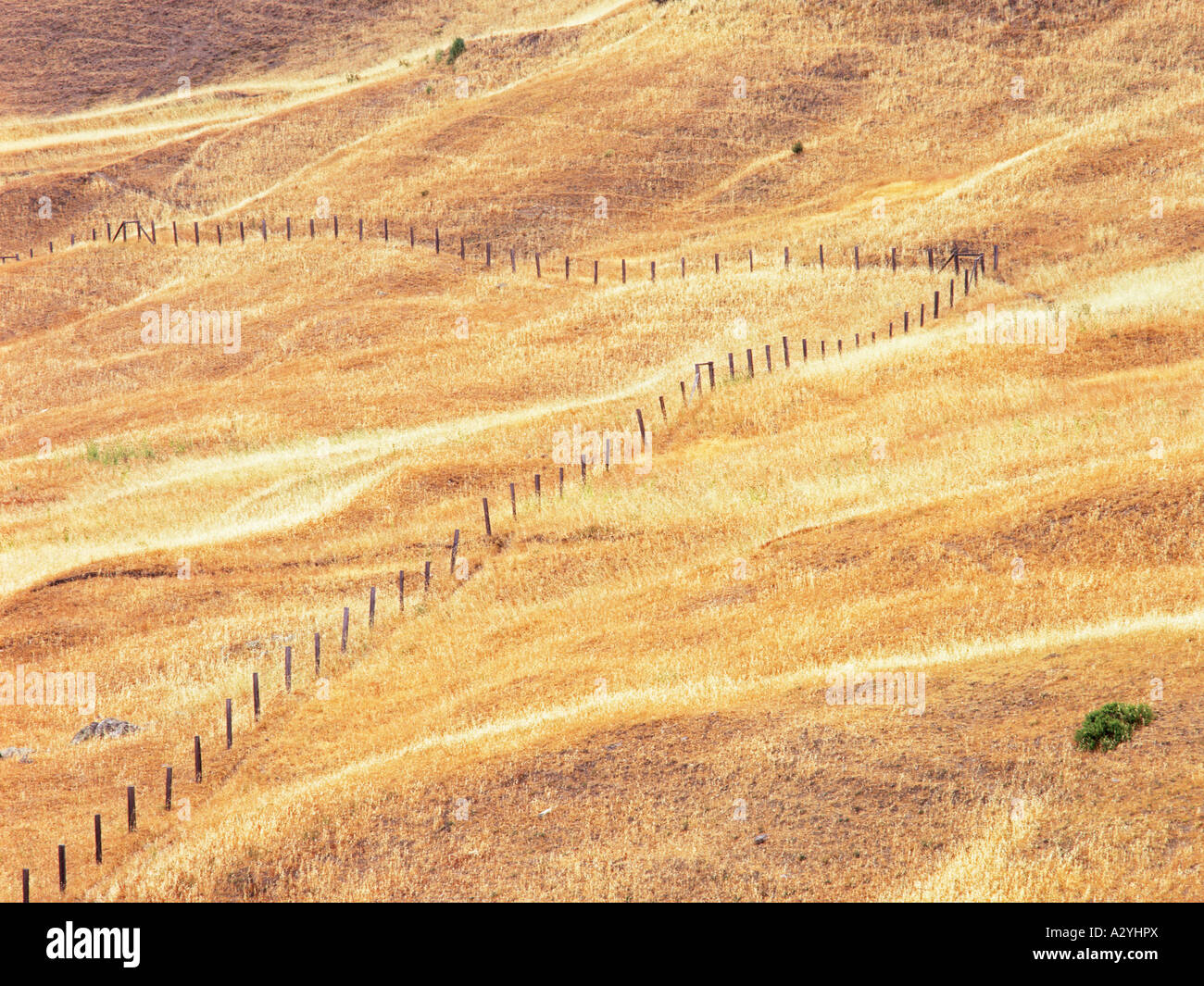 Big Sur hillside pasture and fence Stock Photo - Alamy
