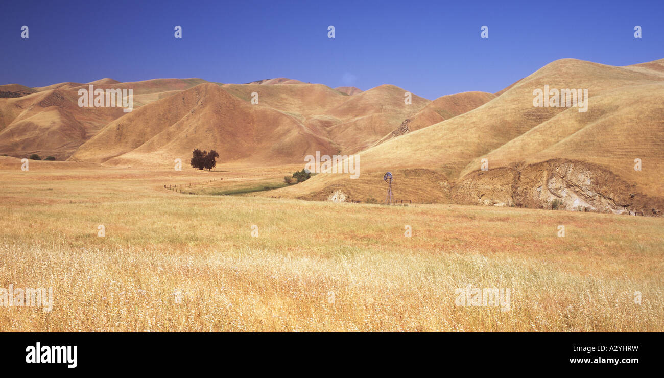 California golden hills hillside summer hi-res stock photography and ...