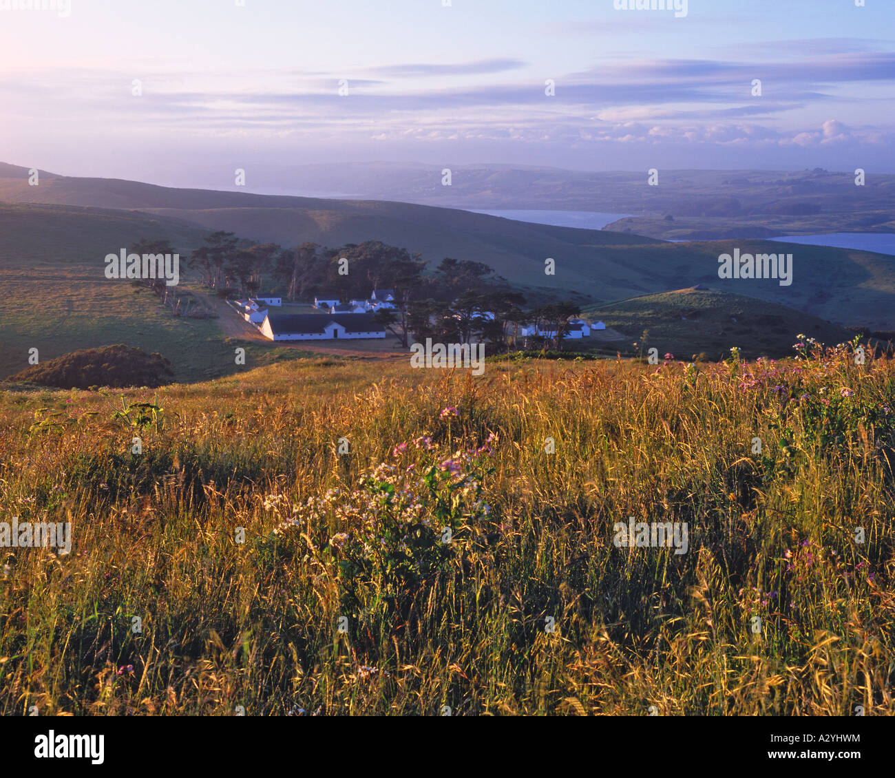 Historic Pierce Point Dairy Ranch at sunset Stock Photo - Alamy