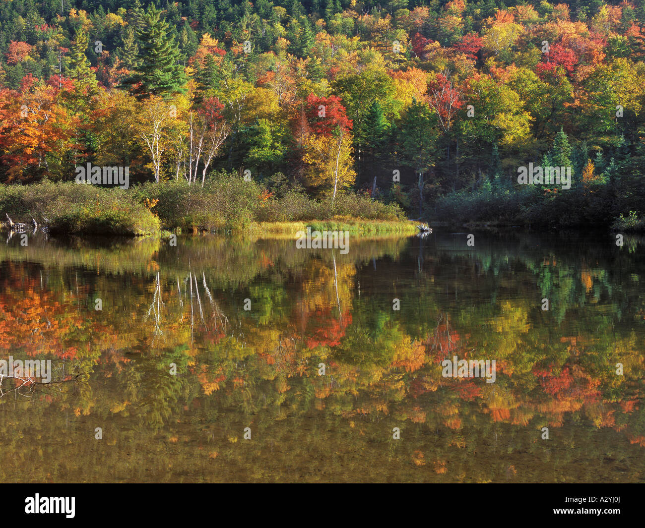 Willey Pond reflecting autumn colors Stock Photo - Alamy