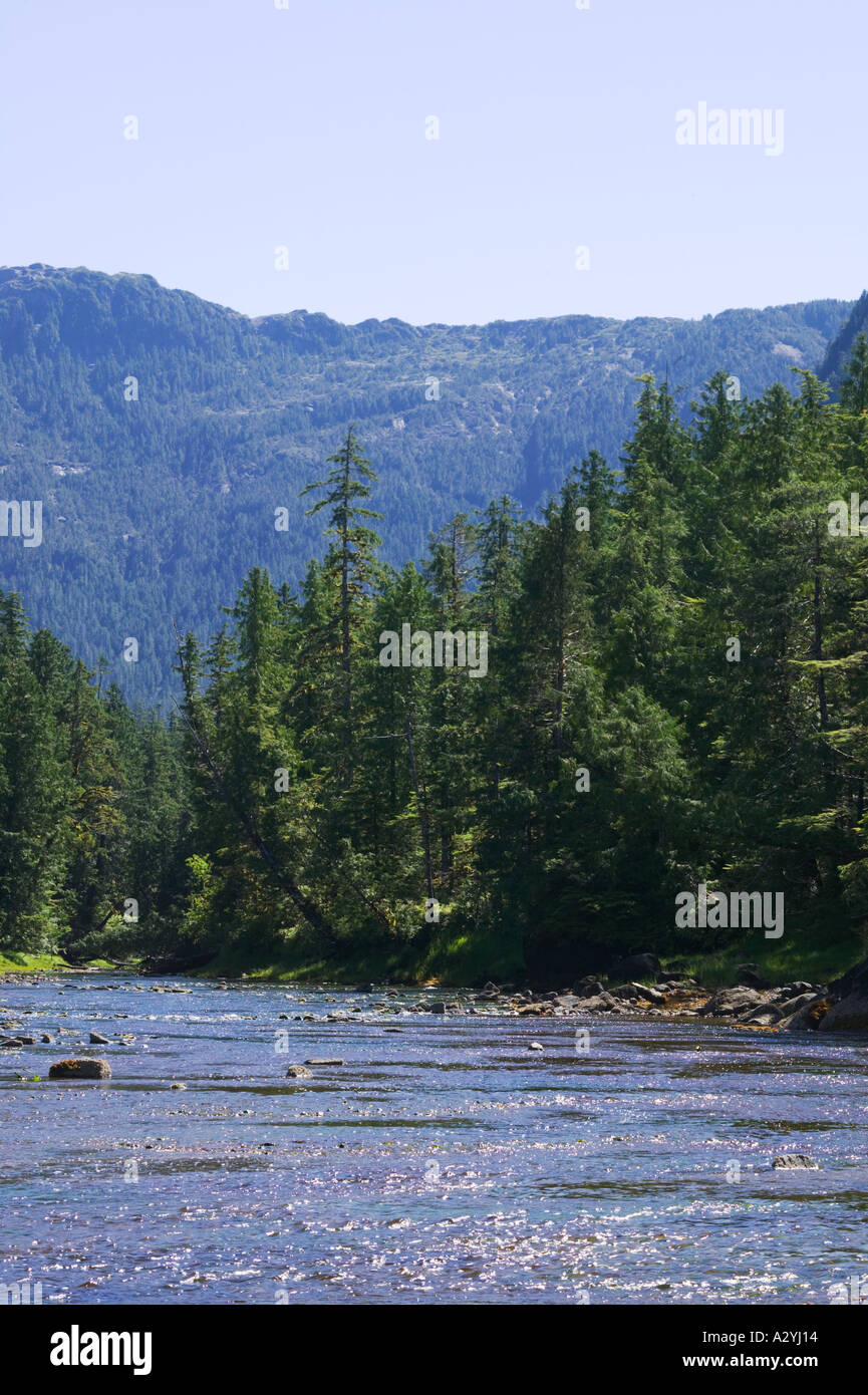 Princess royal island hi-res stock photography and images - Alamy