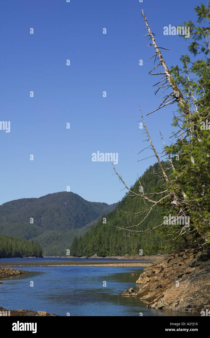 Princess royal island hi-res stock photography and images - Alamy