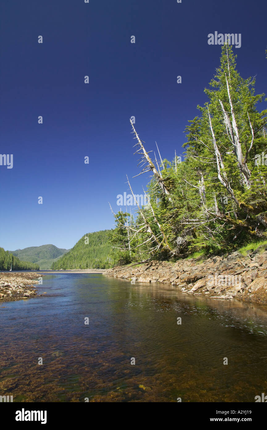 Princess royal island hi-res stock photography and images - Alamy