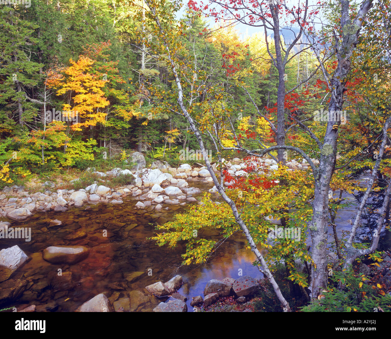 Autumn colors above the Swift River Stock Photo - Alamy