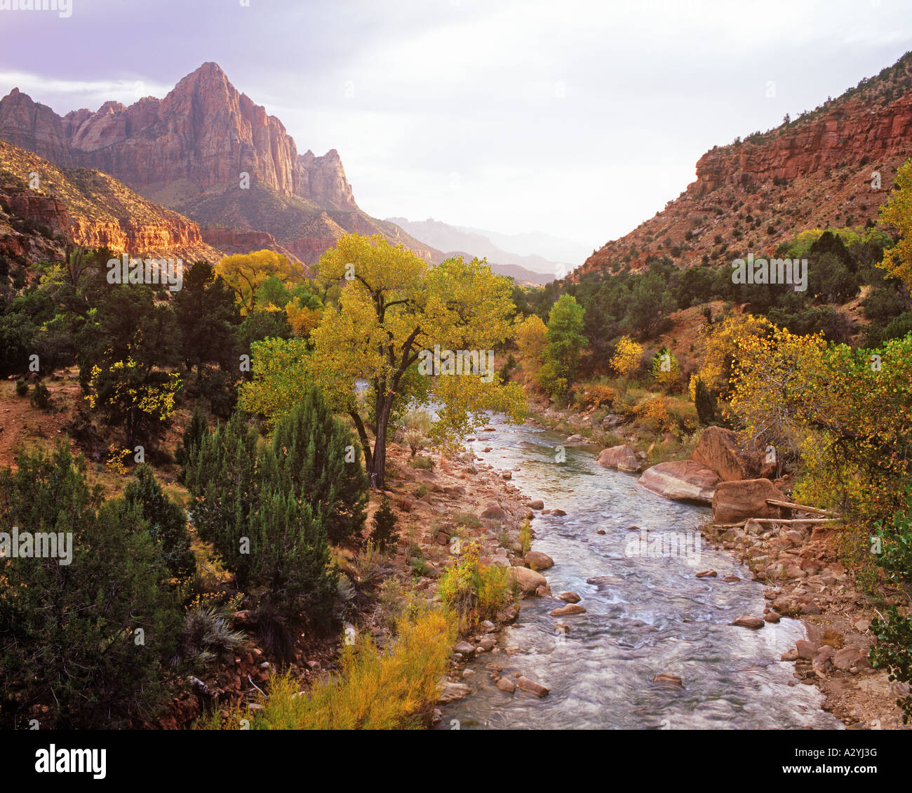 Rugged scenic landscape virgin river hi-res stock photography and ...