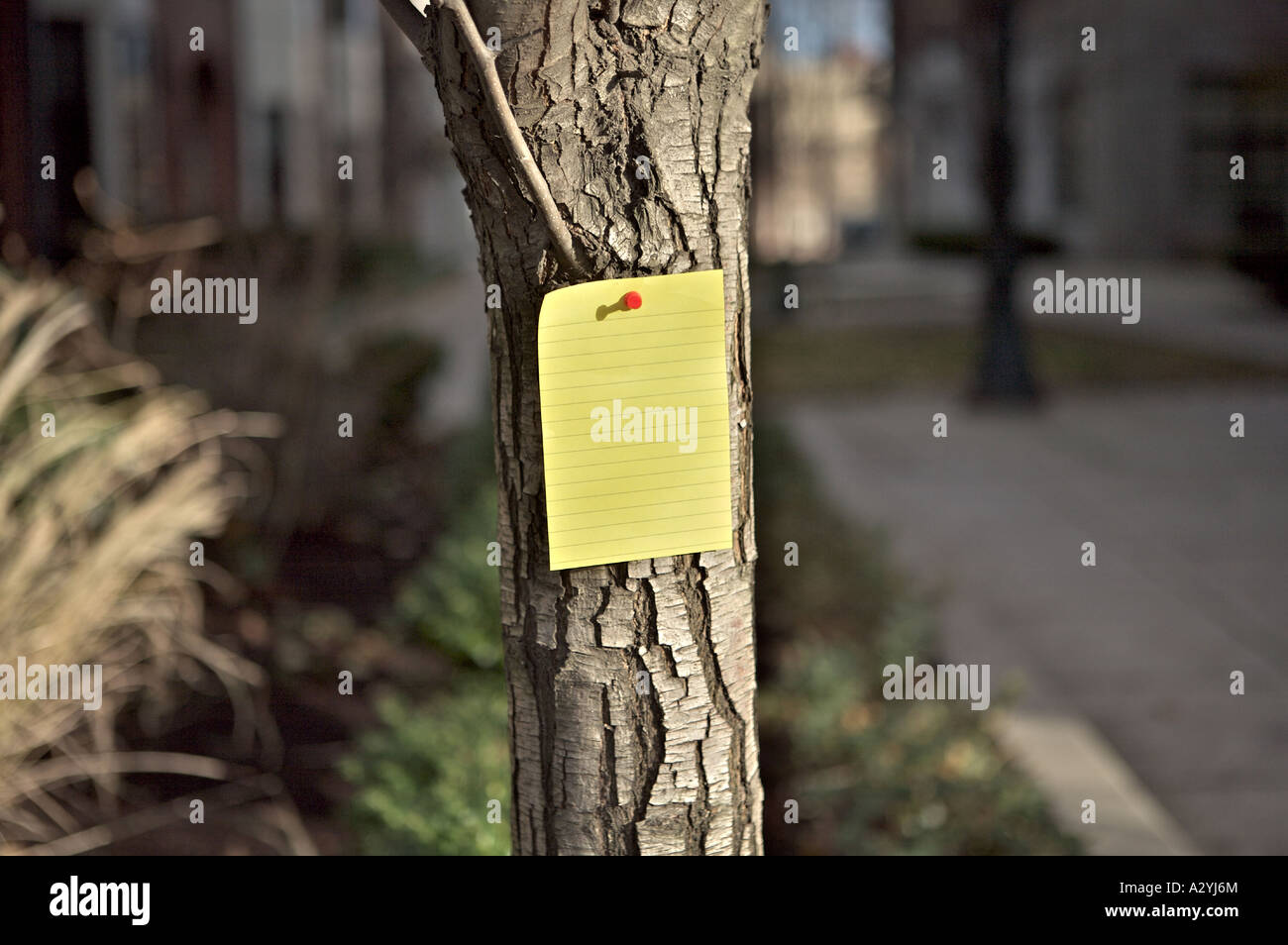 note blank sign post it Stock Photo - Alamy
