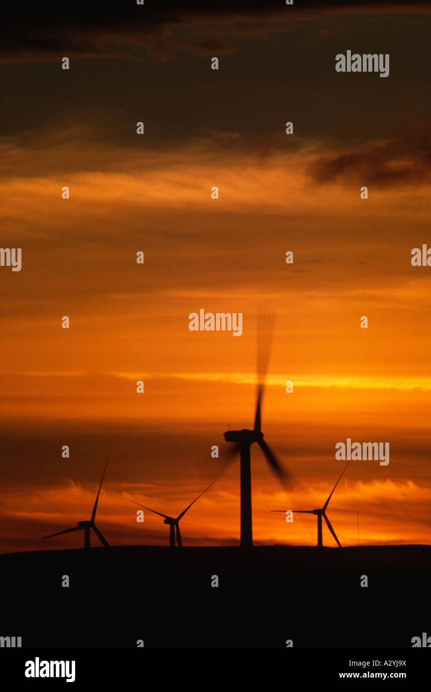 Cefn Croes windfarm at sunset. A controversial windfarm in Powys, mid ...