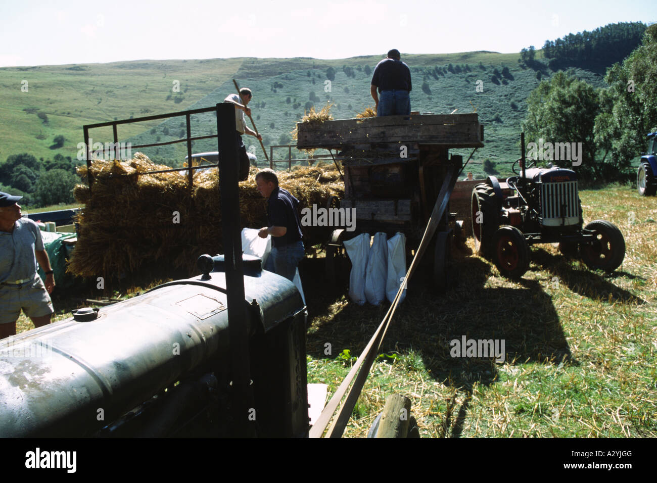 Volunteers working a vintage threshing drum to thresh Organic oats ...