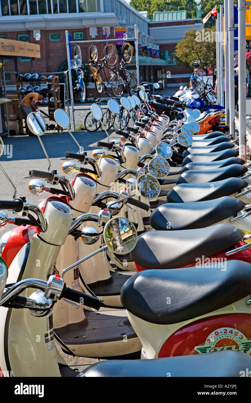 Image of a long line of matching mopeds Stock Photo - Alamy