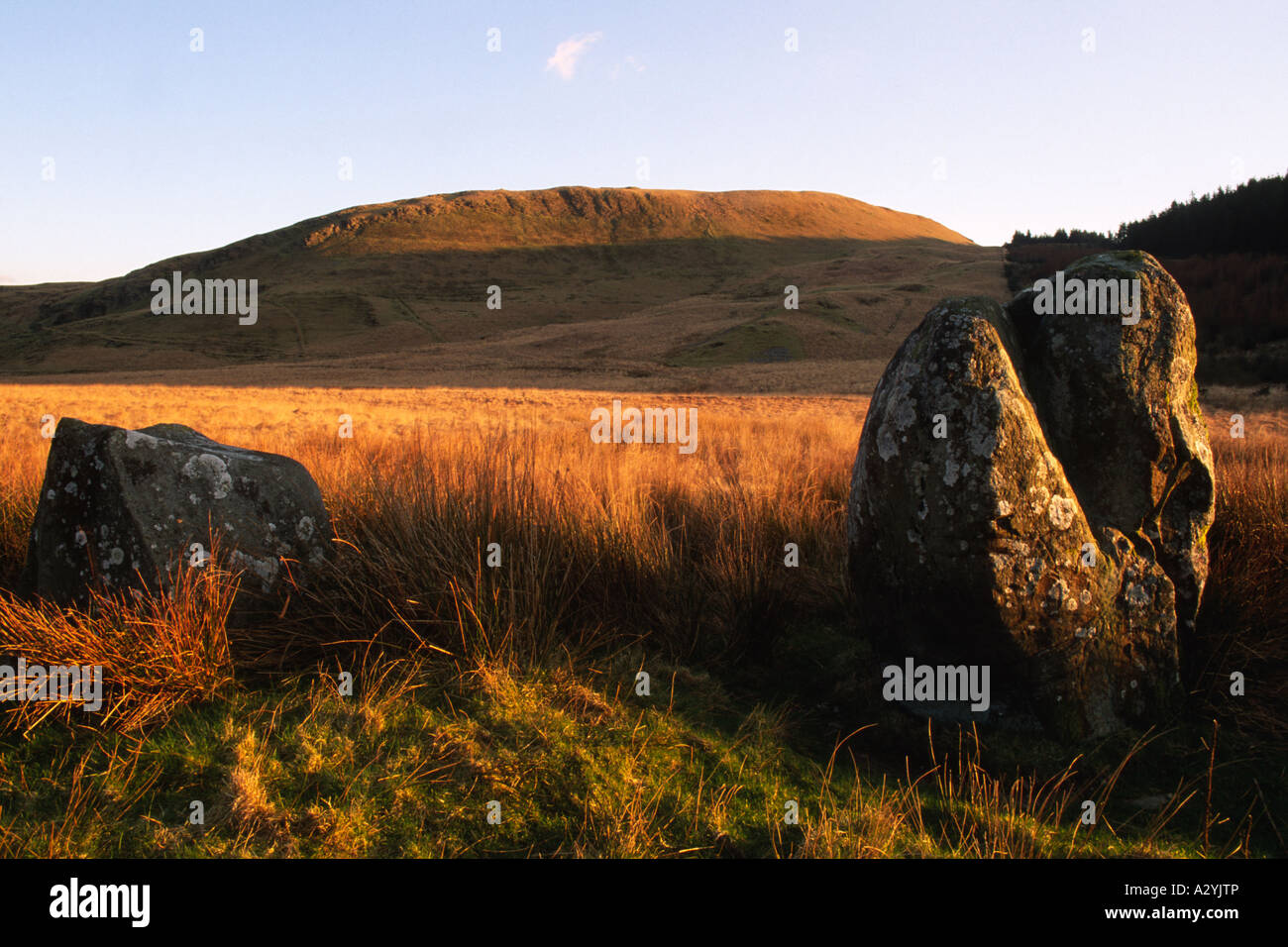 Cow and calf stones hi-res stock photography and images - Alamy