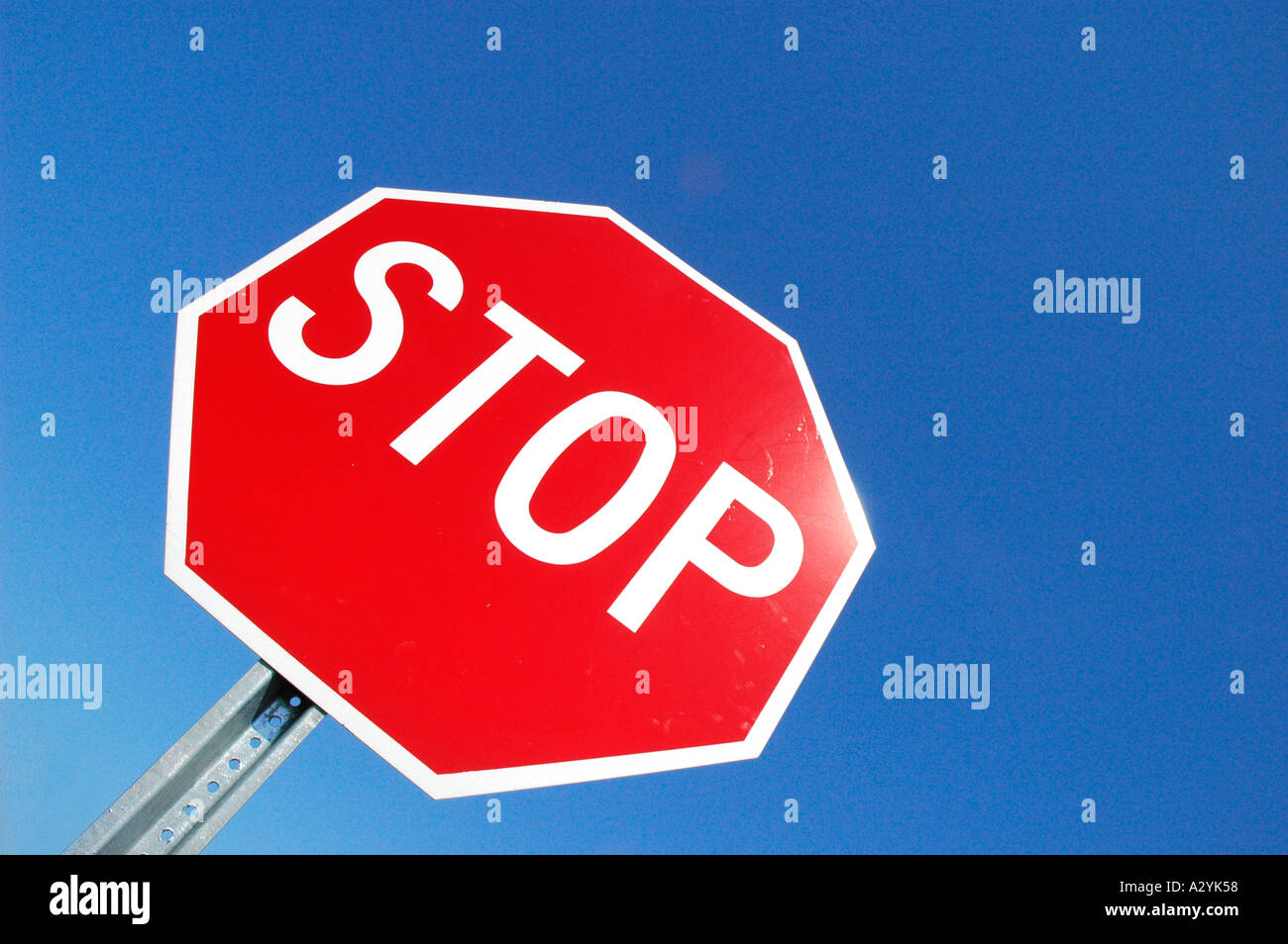 Stop sign for drivers Stock Photo - Alamy