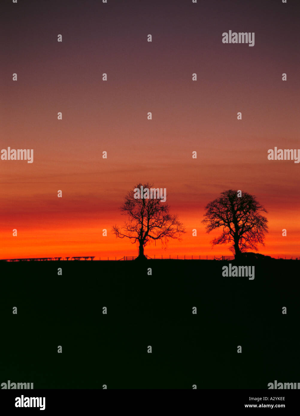 Red rural sunset, Northumberland, England, UK Stock Photo - Alamy