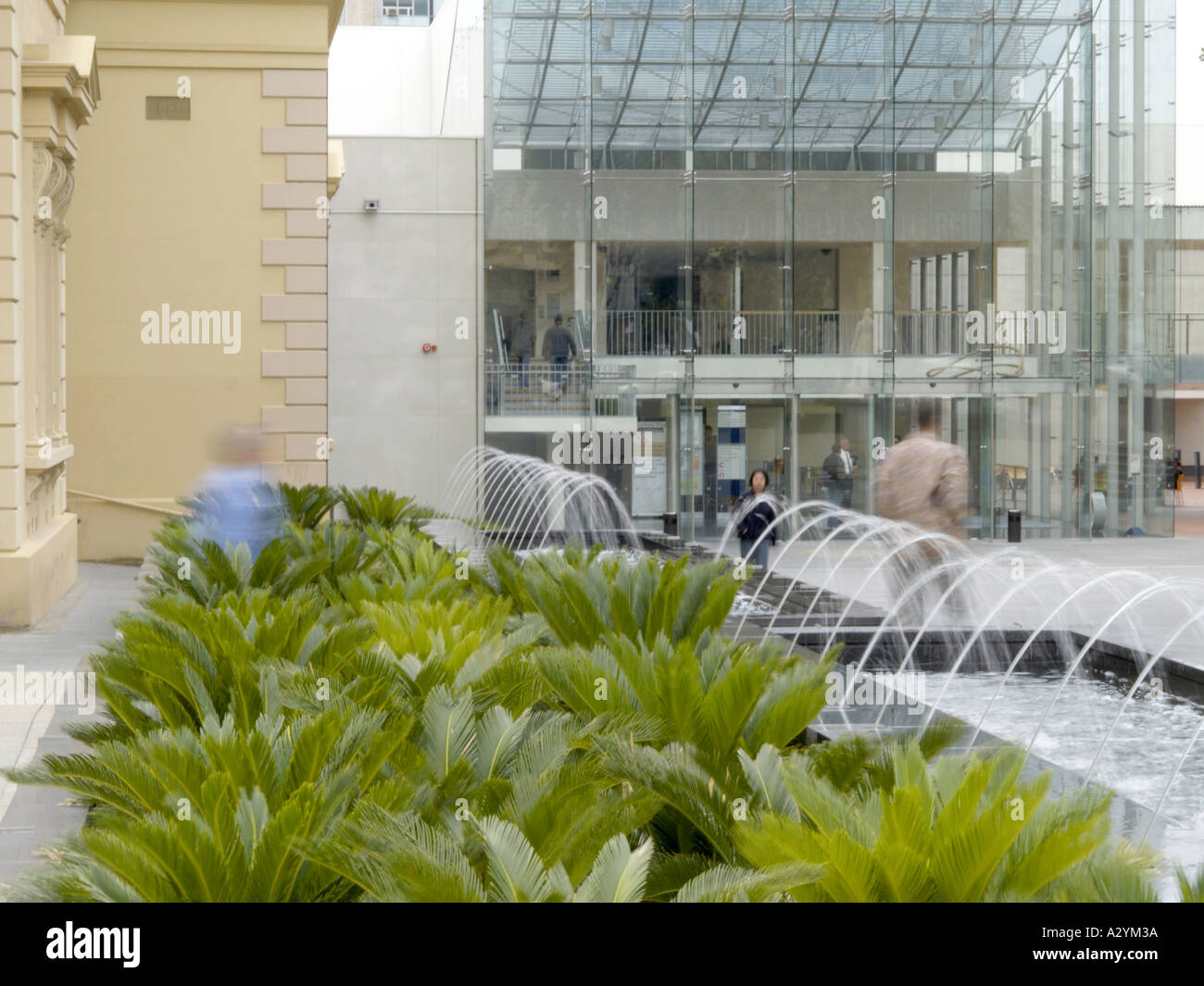 WATER FEATURE IN MODERN GARDENS ON NORTH TERRACE ADJACENT TO LIBRARY ...