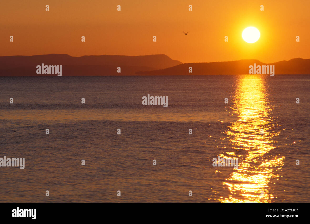 Setting sun bay of fundy hi-res stock photography and images - Alamy