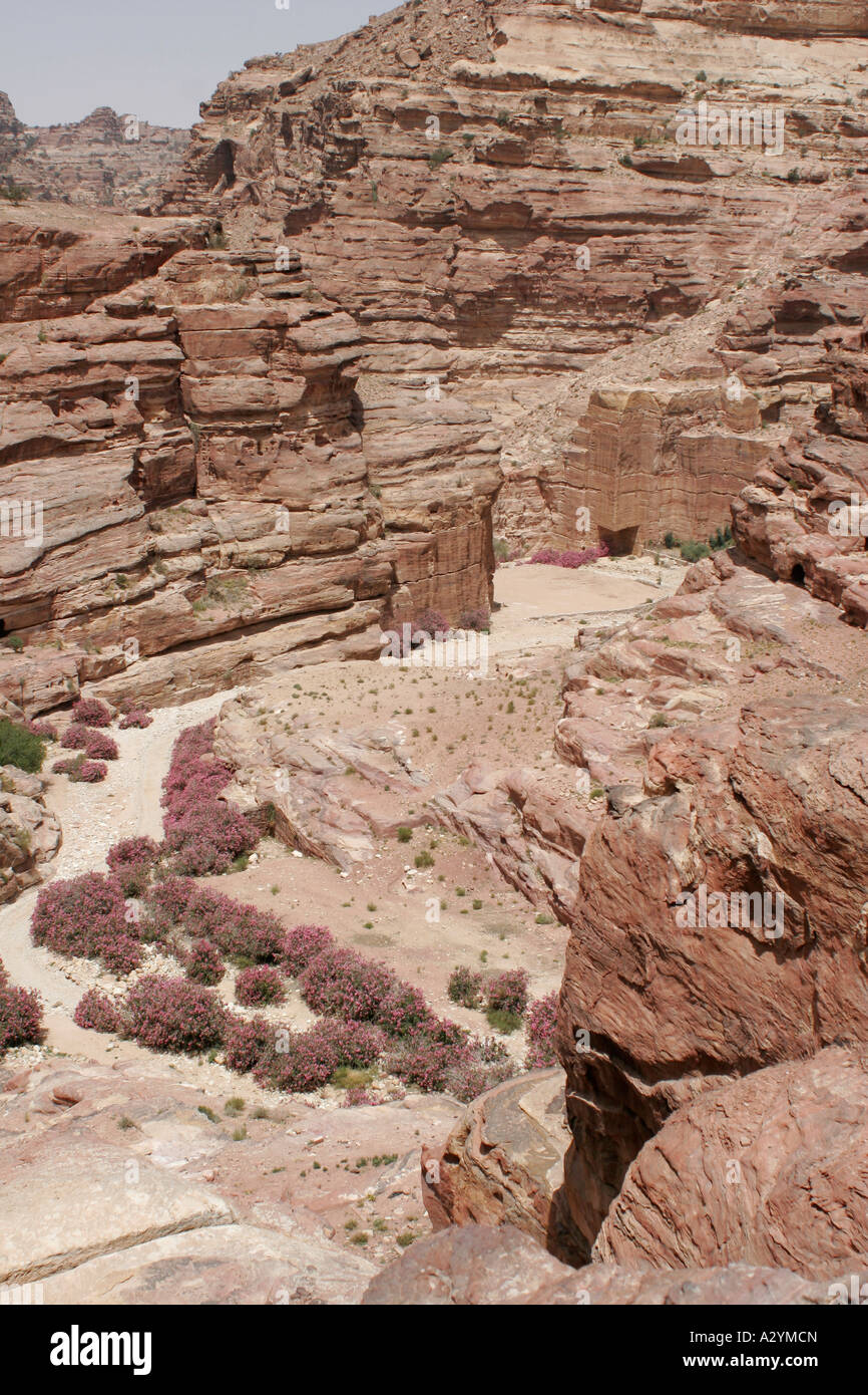 Ancient tombs, Petra, Jordan, Middle East Stock Photo - Alamy
