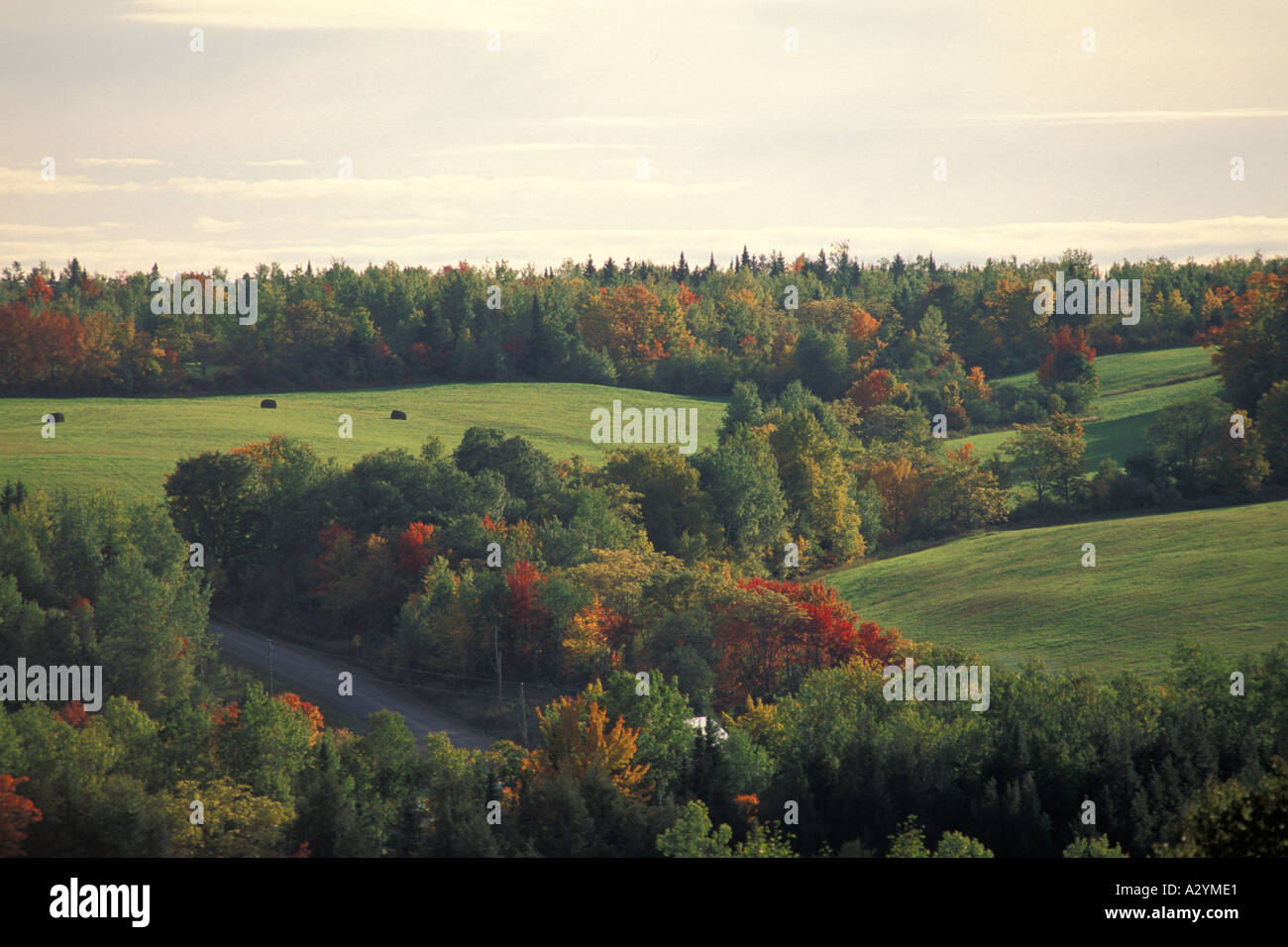 Rolling farm land near Woodstock New Brunswick Canada Stock Photo - Alamy