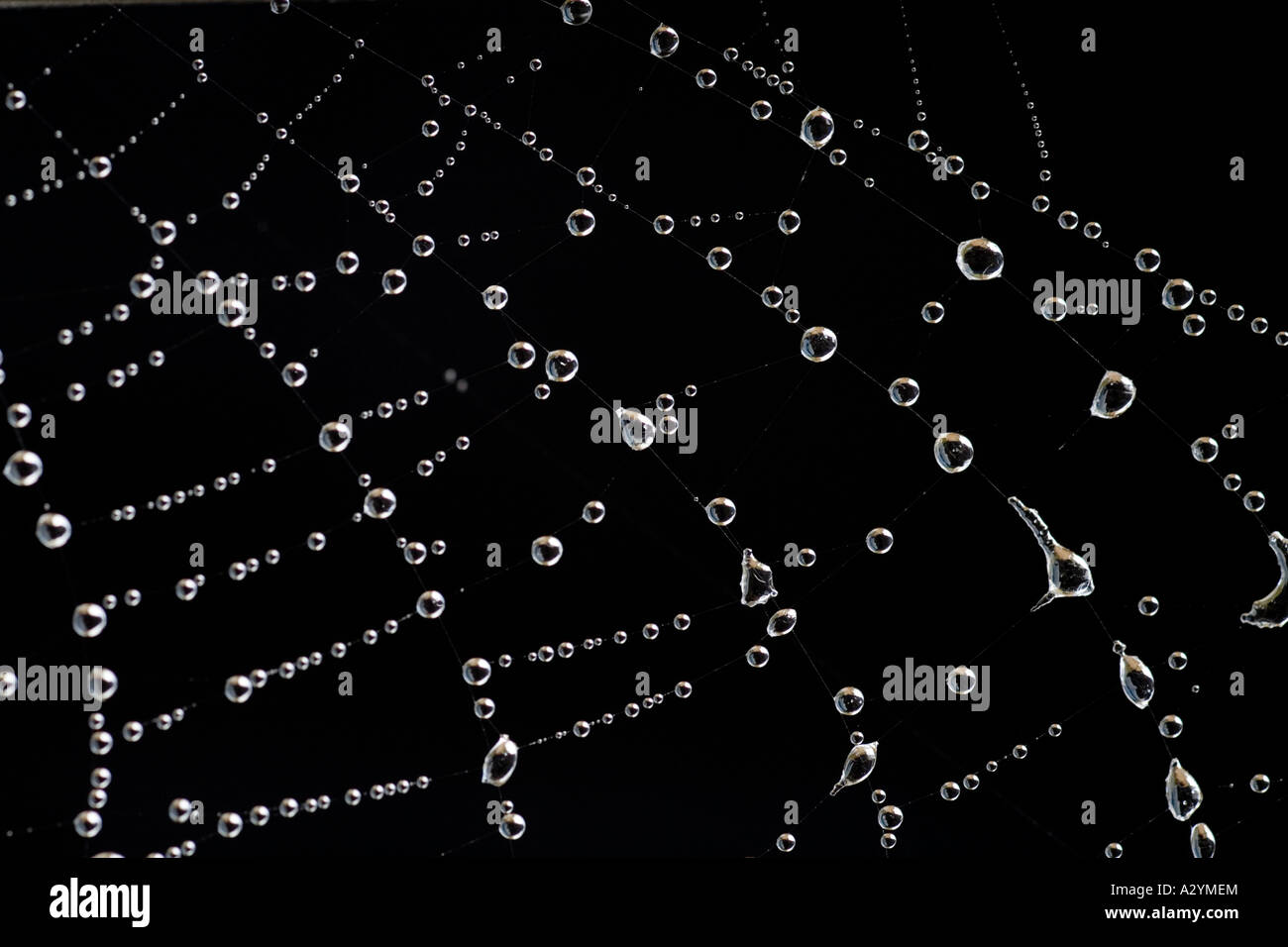 Water droplet capture hi-res stock photography and images - Alamy