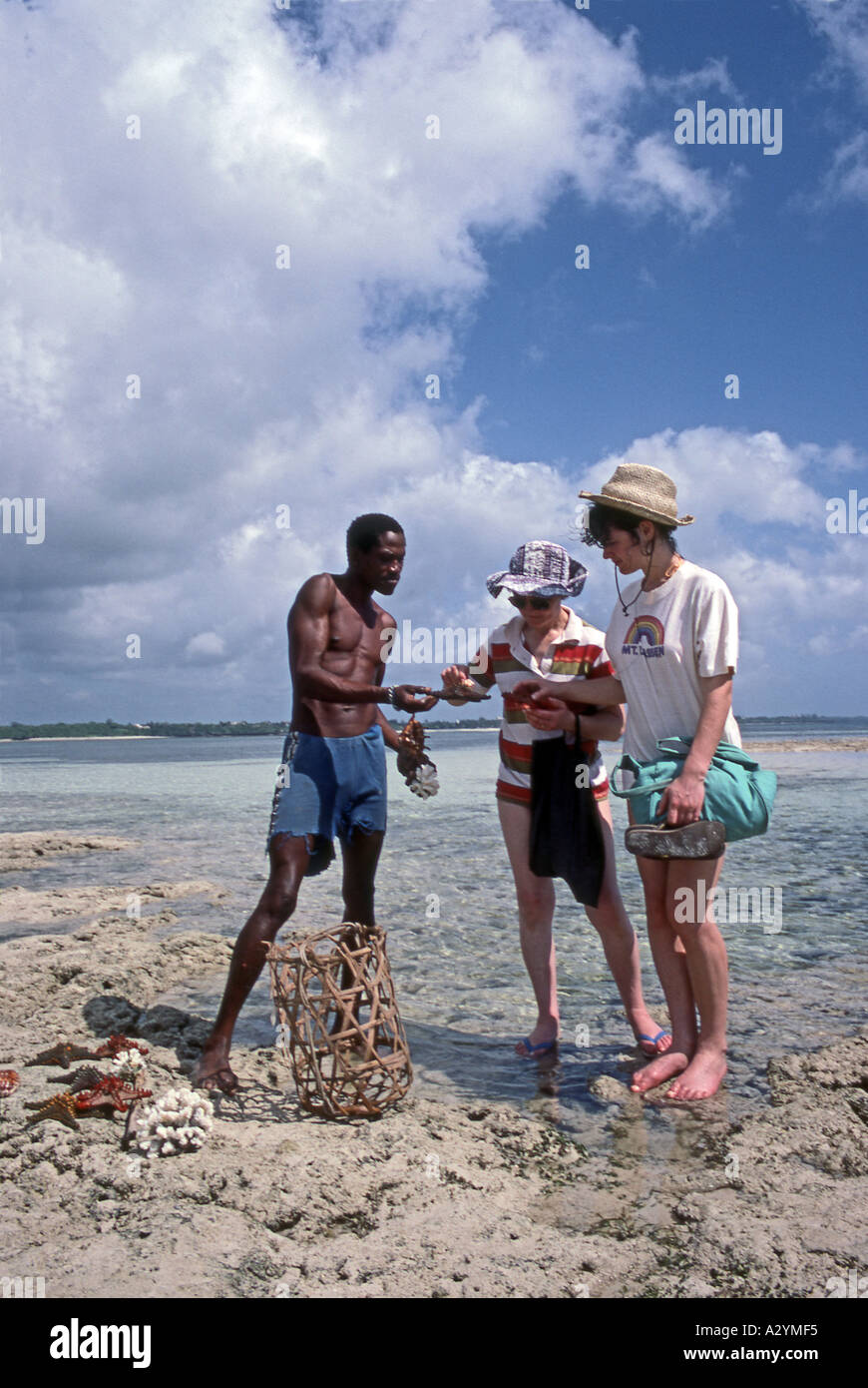 Kenya coral reef mombasa hi-res stock photography and images - Alamy