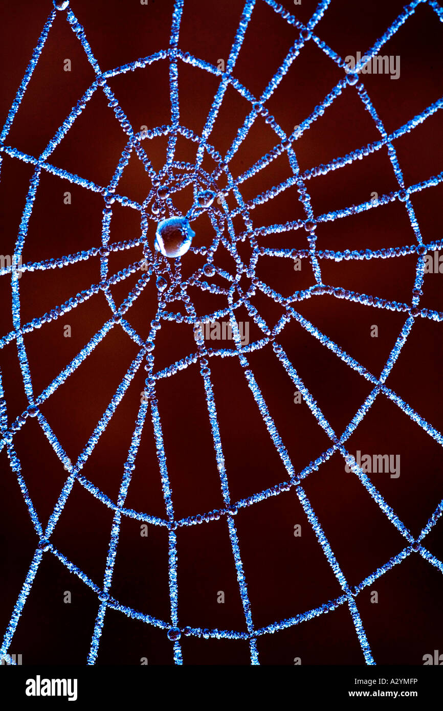 Frost ice crystal spiders web frozen cold construction hi-res stock ...
