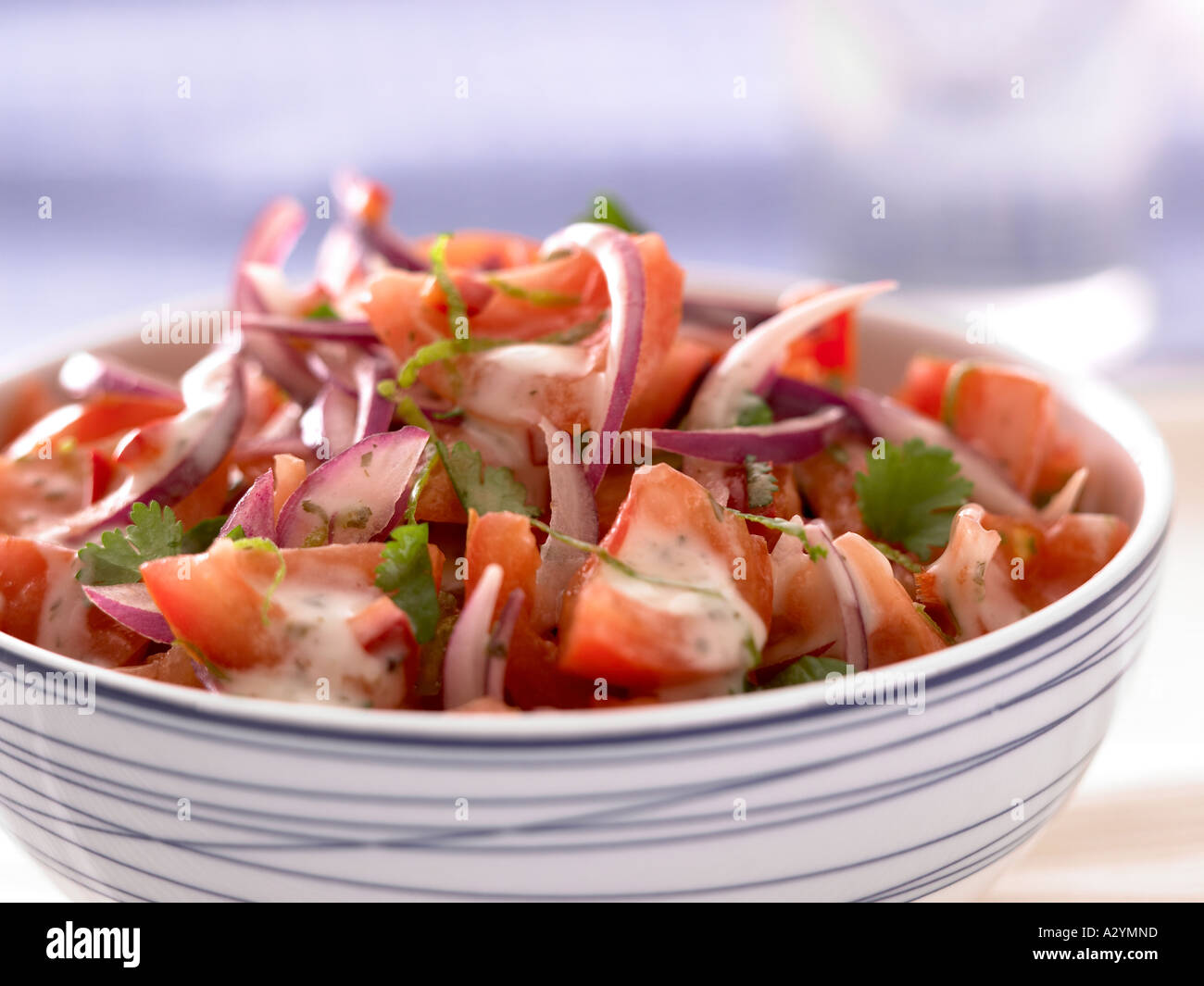Prepared tomato onion salad hi-res stock photography and images - Alamy