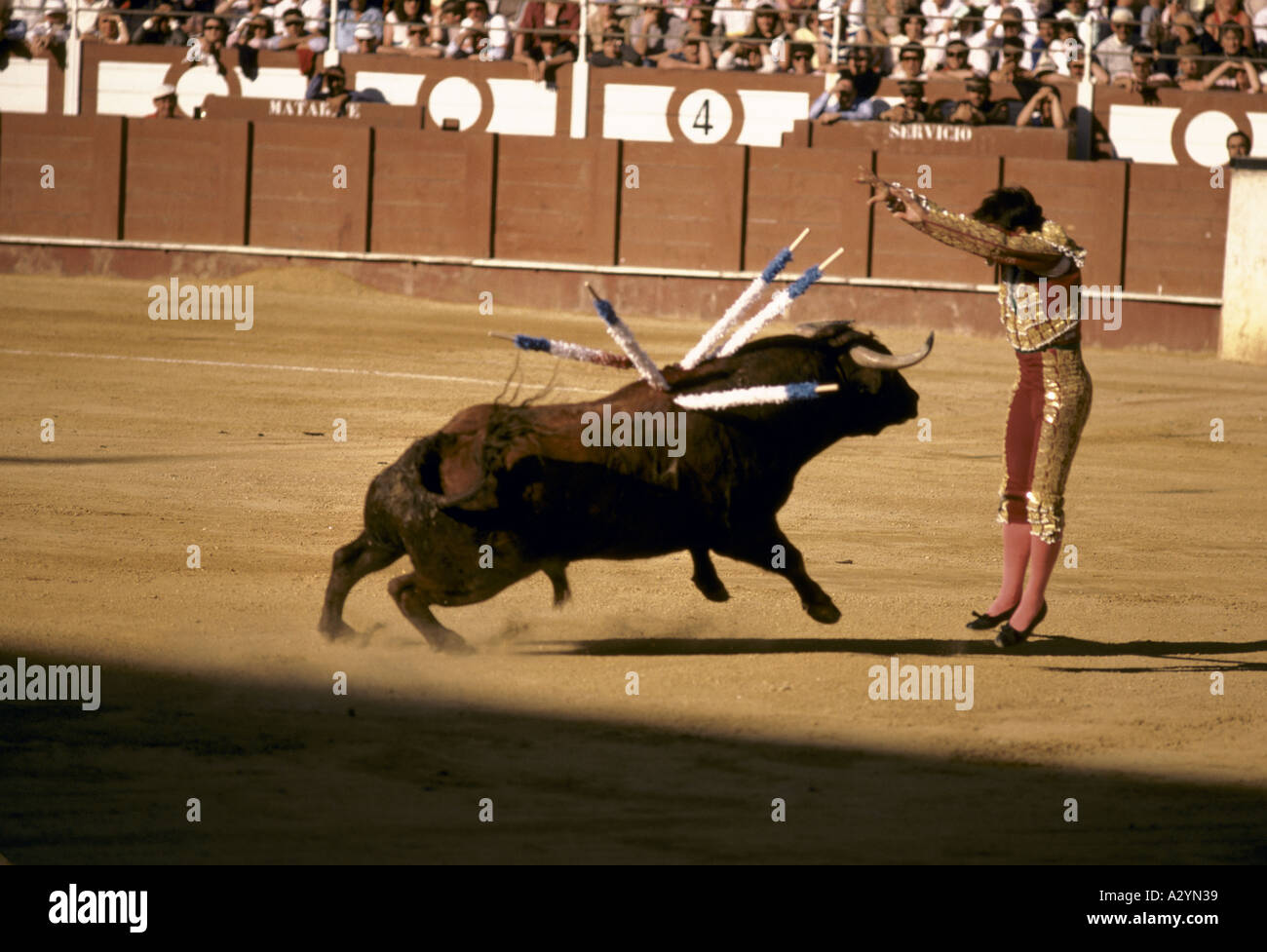 Thrusting Forward High Resolution Stock Photography and Images - Alamy