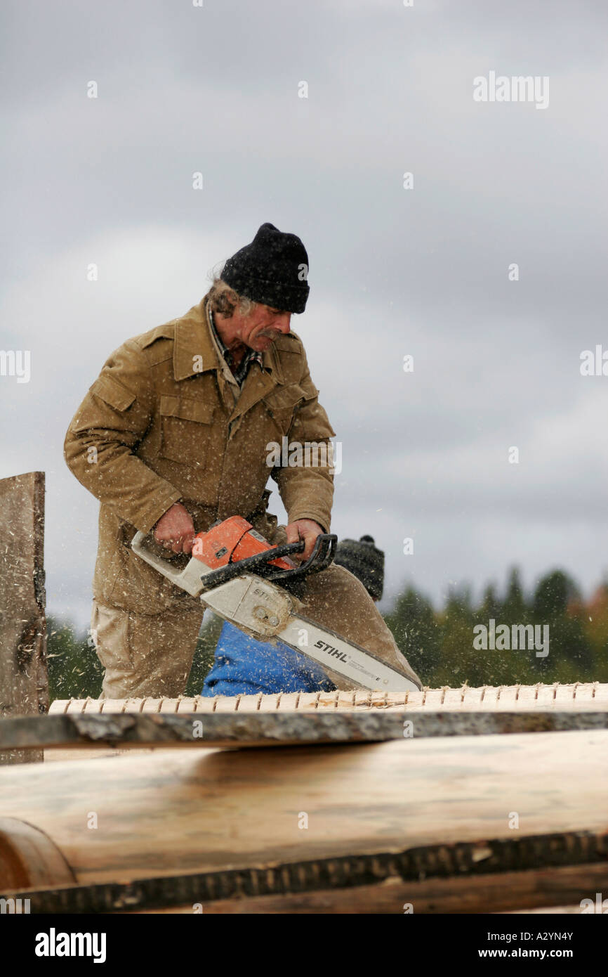 Man cutting wood with electric power saw Stock Photo - Alamy