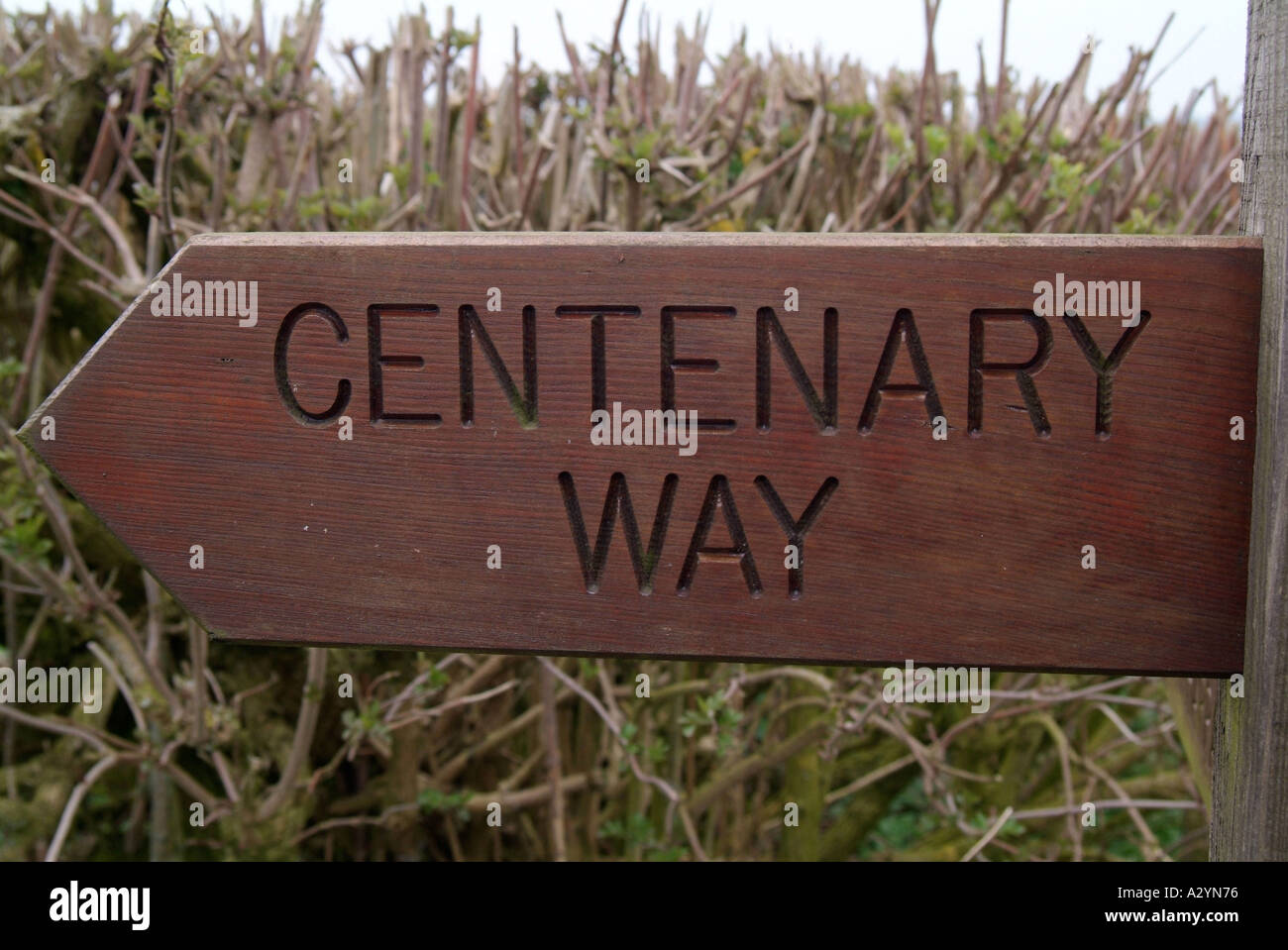 Centenary way castle howard hi-res stock photography and images - Alamy