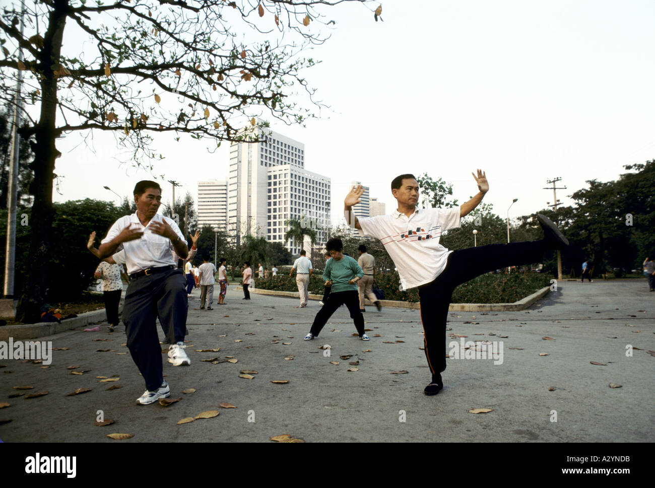 Lumpini park bangkok thai chi hi-res stock photography and images - Alamy