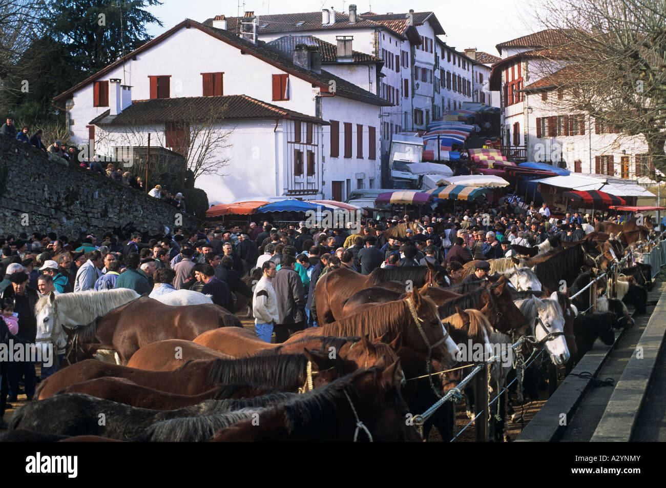 Annual pottok fair Pyrenees ponies, in Espelette in the Pays Basque ...