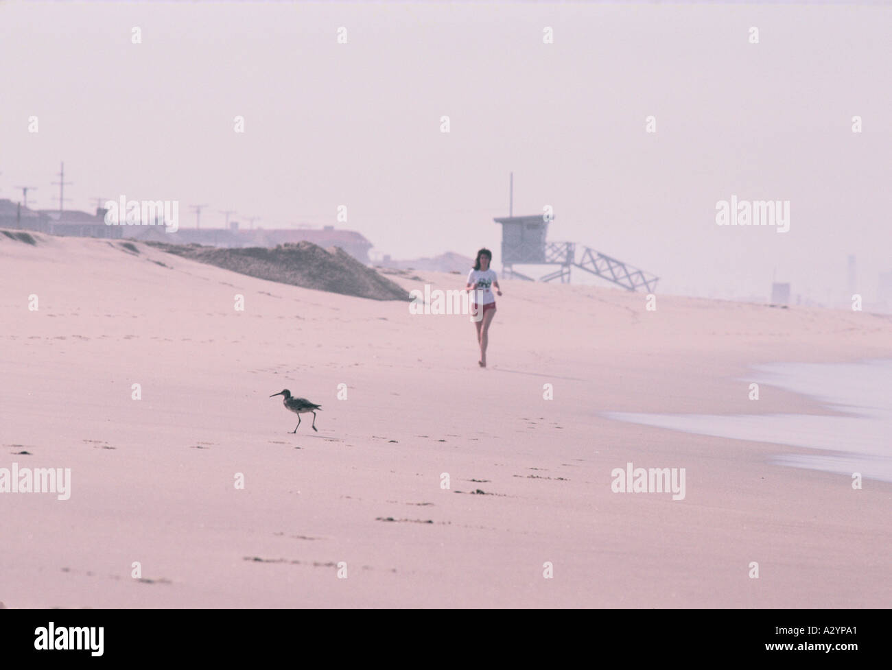 los angeles beach scene Stock Photo - Alamy