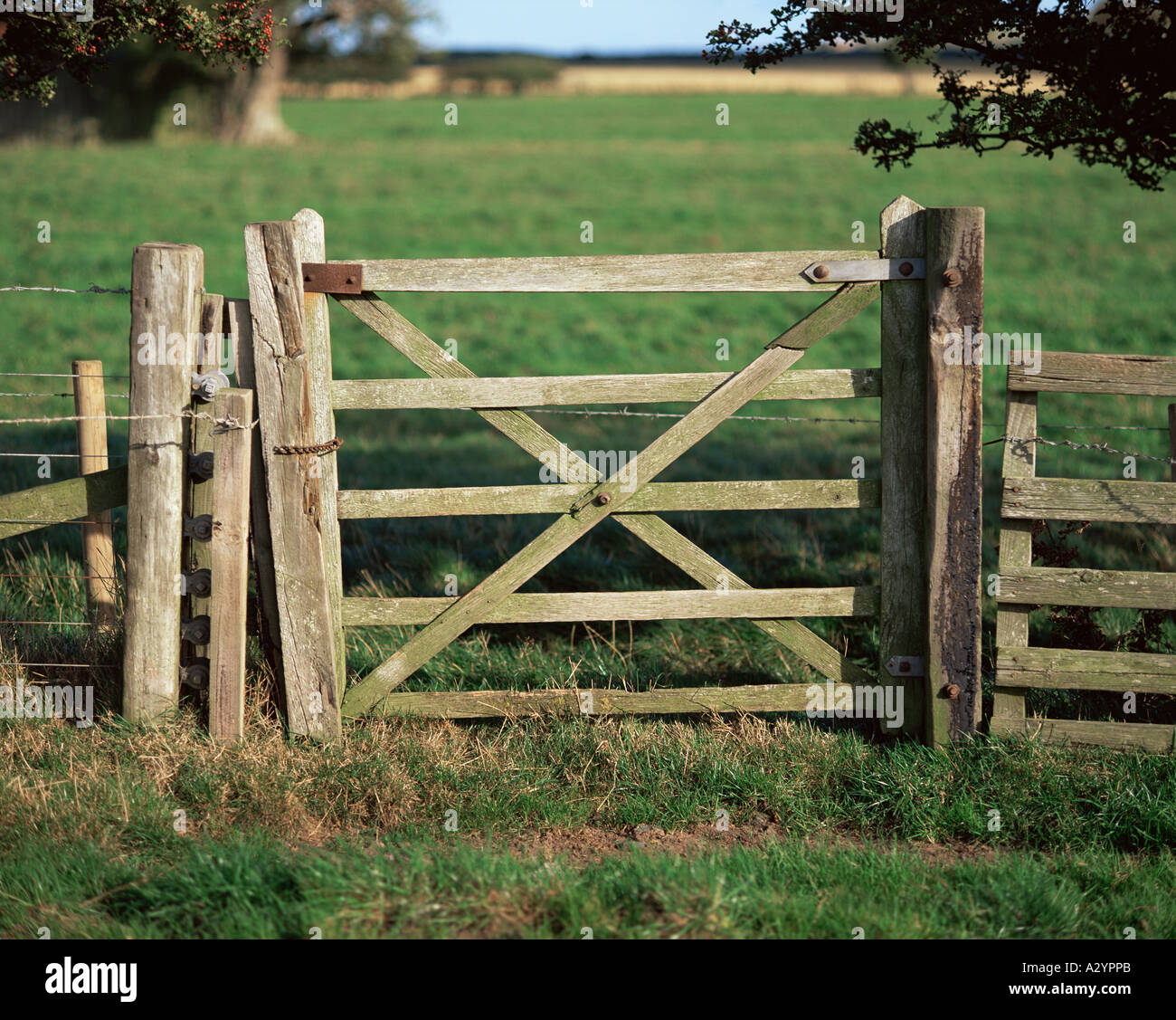 Gate type hi-res stock photography and images - Alamy