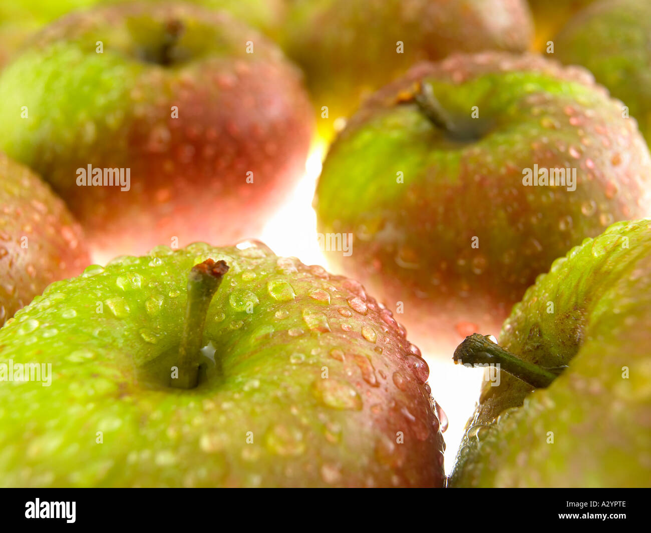 Apple day tasting apples hi-res stock photography and images - Alamy