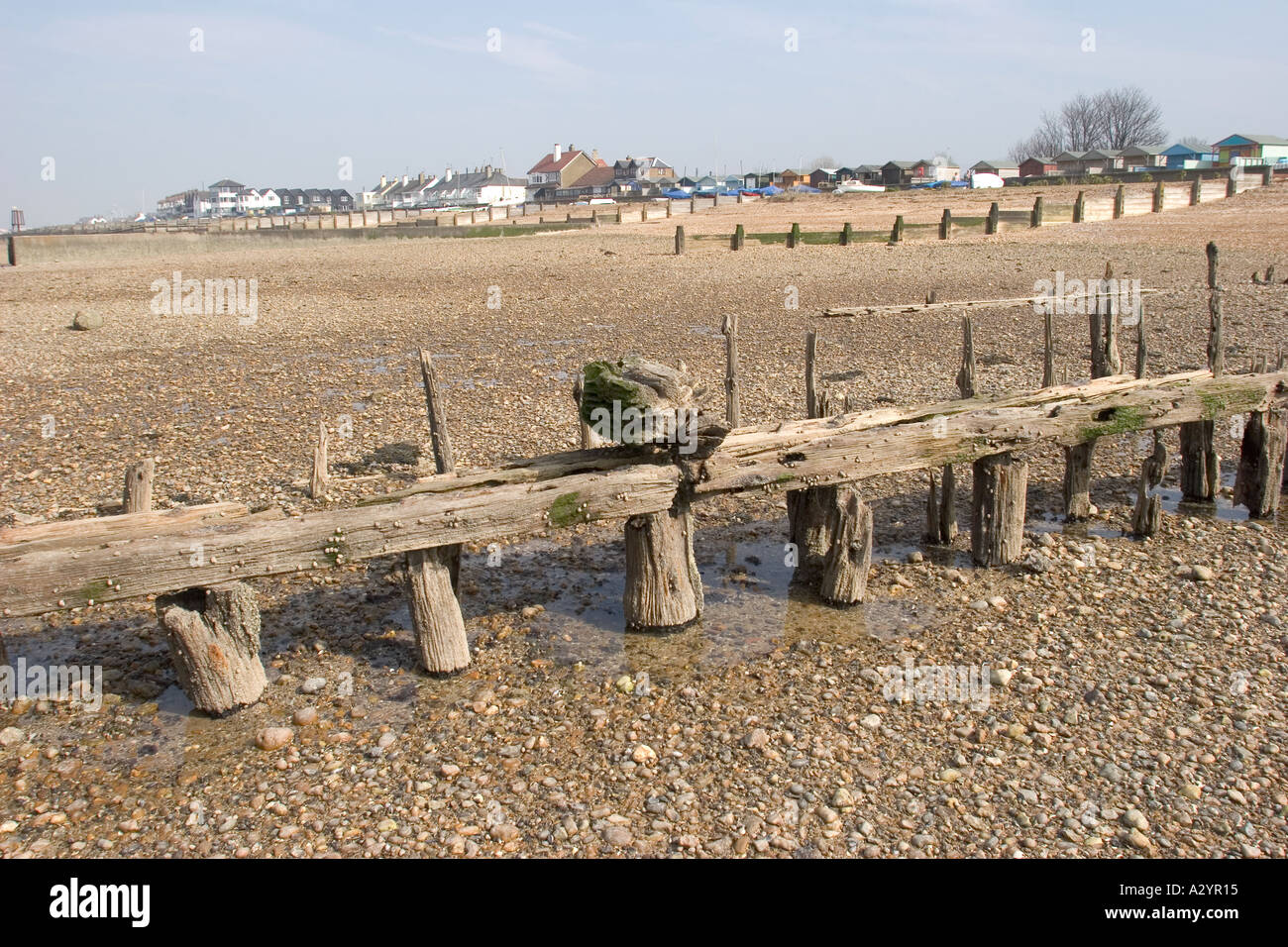Eroded Breakwaters or Groyne Whitstable Kent England UK Stock Photo - Alamy