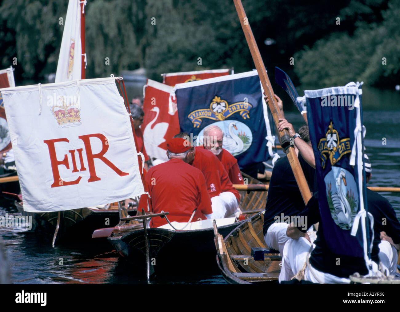 swan upping river thames 1995 counting tagging the queens swans rowing ...