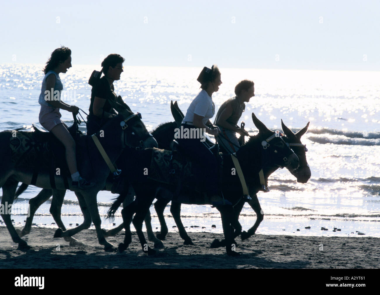 donkey rides along blackpool beach Stock Photo - Alamy